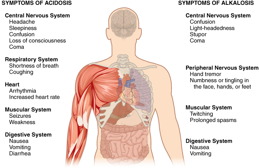 What Causes Acidity And How To Deal With It? - Magzinera